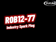 RB77CC Reemplazo de bujías con resistencia y suministro de aire