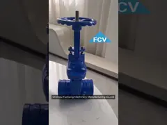 ansi rising stem soft seat groove  gate valve