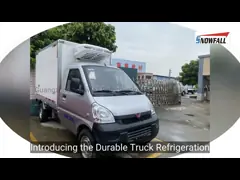 Casella frigorifera in FRP corpo di furgone isolato con tecnologia brevettata a livello internazionale