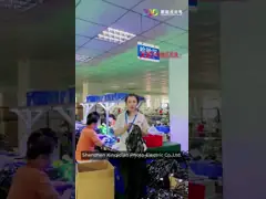 T20 12v DMX SPI luci a LED per il tetto di Natale