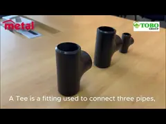 EN DIN Componenti in acciaio di lega standard personalizzabili per accessori per tubi