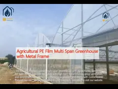 에너지 절감 대량 농업 열대 지방의 다단계 온실