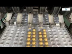 Машины для ламинирования белковых шаров 3 кВт