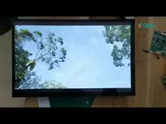 800x1280 Resolution TFT LCD Display 10.1 Inch IPS Free Viewing Direction