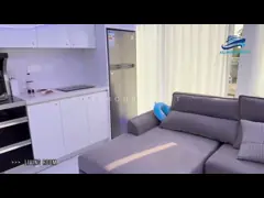 11.5m party boat with 4.0mm tube thickness ' top-performing option