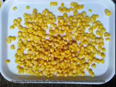 add a burst of flavor and nutrition with canned sweet corn perfect for tacos and casseroles