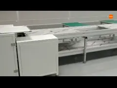 High-Speed Double Speed Chain Assembly Line for Automotive Manufacturing for CARST