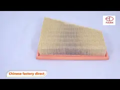 Migliorare l'aria interna con BN-TE-201-0008 Car Air Conditioning Inlet Filter per Tesla Model 3 2021
