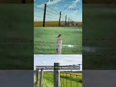 galvanized high tensile barbed wire farm fence 500m 20kg per roll barb wire fence