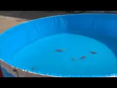 outdoor galvanized steel pipe pvc fish pond breeding circular water pool for family farms