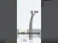 SUS304 Dental Handpiece d'argento ad alta velocità