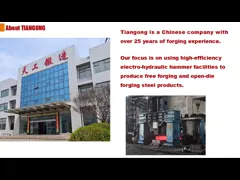 100 kg - 7000 kg per sistemi di trasmissione