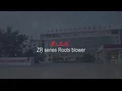 에너지 절감 ZR 뿌리 진공 펌프 민감 한 작업에 대한 설치 및 유지 보수