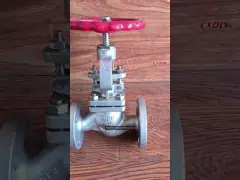 stainless steel globe valve cf8m / cf8 cryogenic temperature easy to maintain