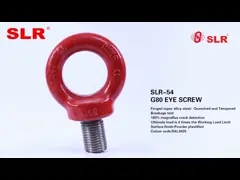 slr054-g80 eye screw