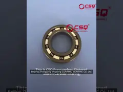 6006ce pressureless sintered silicon nitride bearings ideal for acid/alkali pumps handling corrosive
