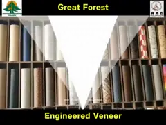 fancy teak koto plywood dyed decorative plywood panel veneer