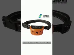 rechargeable pet training products dog agility shock collar for obedience school
