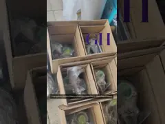 2006- toyota landcruiser ct16v turbo 17201-0l040 turbo turbocharger engine replacement original / su