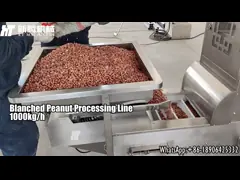 焼いたピーナッツ エアブランチャー エアピーナッツ ブランシング マシン 新型ピーナッツ 剥離機 粉末なし 表面 滑らか 1000-1200kg/h