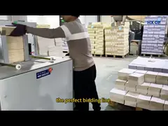 Hx100 Automatische Speisemachine von Büchern che è dotata di un apparecchio elettronico