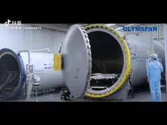 Alta resistenza all'usura di rigidità del carbonio della fibra delle parti sicure e durevoli dell'automobile