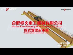 workshop electric double girder overhead crane 20 ton span 22m