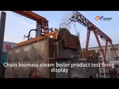 DZL horizontal chain steam boiler