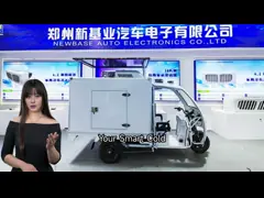 odm electric cargo refrigerated tricycle for logistics transportation