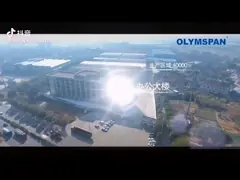 Pressa a caldo che forma CNC dei prodotti della fibra del carbonio che taglia progettazione dell'OEM