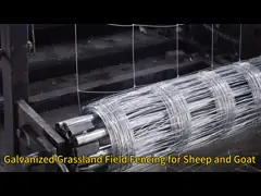 10m-30m galvanized grassland wire mesh fence netting for sheep field deer farm