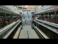h type egg layer battery chicken cages 8 tiers galvanized steel wire