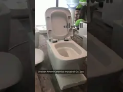 Stylish Wall Hung Toilet with Soft Close Lid for Bathroom Standard Ceramic Sanitary Ware Bowl Set Sleek Wall Hung Toilet European Wall Hung Toilet