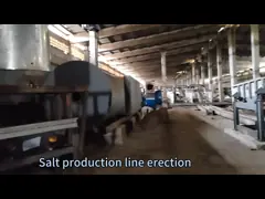 Équipement de séchage de raffinage de lavage iodisé d'emballage de broyeur d'usine de production de sel