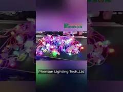 Adressabile RGB IP68 Acque resistenti LED Eave luci per la decorazione di Natale