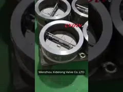 stainless steel 304 wafer dual disk check valve pn16 flange end for all flanges up to pn16
