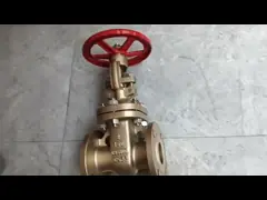 Valvola a saracinesca in acciaio inossidabile CF8 con flangia per applicazioni industriali e gravose