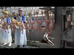 Βελτιστοποιήστε την επεξεργασία κοτόπουλου με γραμμή σφαγής ελεγχόμενη από PLC και ανοξείδωτο χάλυβα 304