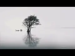 multiple colors decorative laminate paper printed decorative paper for impregnating and wood based b