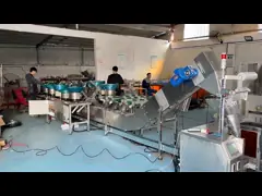 High Speed Intelligent Vibration Plate Screw Packaging Machine For Screw Nut