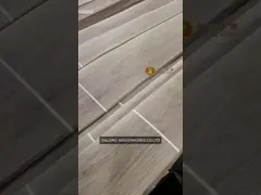 10 - 16% mc crown cut natural walnut plywood sheets