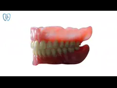 Flexible Acrylic Denture Dental Lab Digital 3D Printed Resin