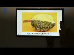 1920x1080 full hd tft lcd screen 10.1 inch with lvds interface 40pins