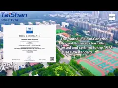 50 mm di calcio di erba artificiale stabile rinforzato con CPP + PP base tessuto adesivo lattice