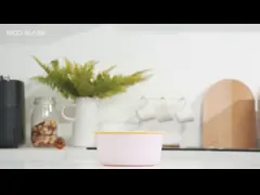 Contenitori per alimenti in vetro con rivestimento antiaderente colorato e coperchi in vetro Contenitori per frutta in vetro