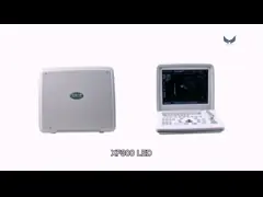 2D machine durable d'Echo Portable USG pour le physiothérapeute Convex Linear Probe