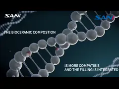 Endodonzia dentale Gutta Percha Punti Taper 02/04/06/F1-F5 Con certificato CE