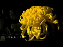 customized decorative paper for furniture decorative base paper for ceiling and floor