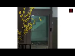 Villa Traction Safe Home Elevator 0,6 M/S Fornitore di alimentazione singolo / trifase