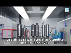 Oxygen Generation System Skid Mounted Design Easy Installation